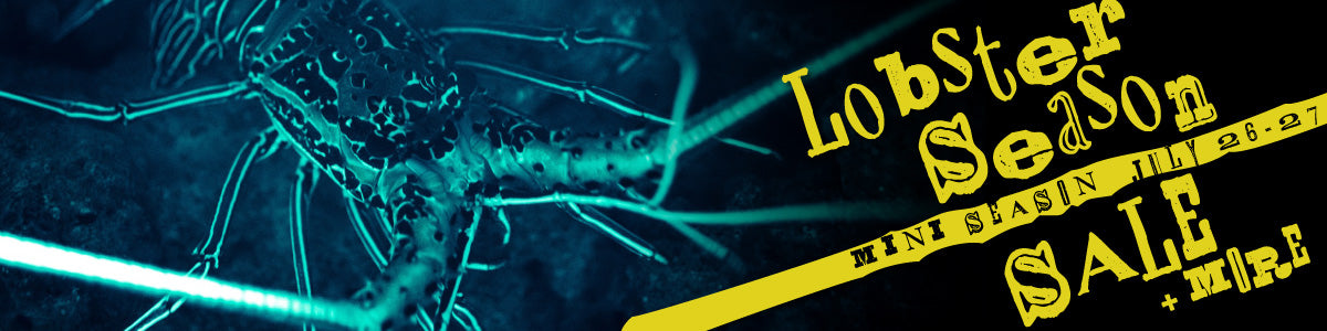 Capt. Harry's Fishing Supply | Salt Water Fishing Tackle & Equipment